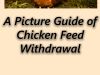 News and Information Technology of Iranian Poultry and Livestock ...